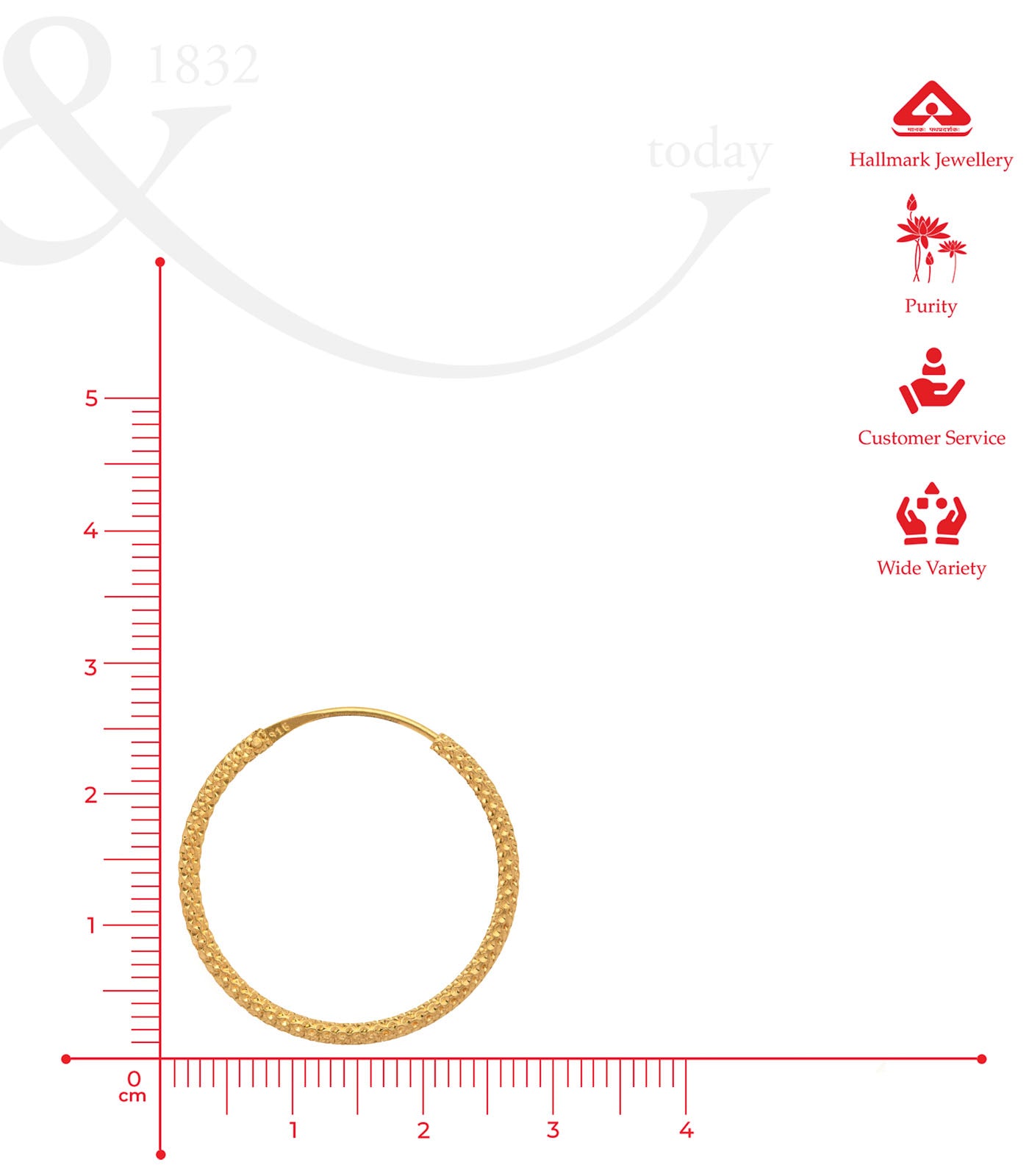 PNG & Sons Chic Golden Hoop Earrings – P. N. Gadgil & Sons Ltd